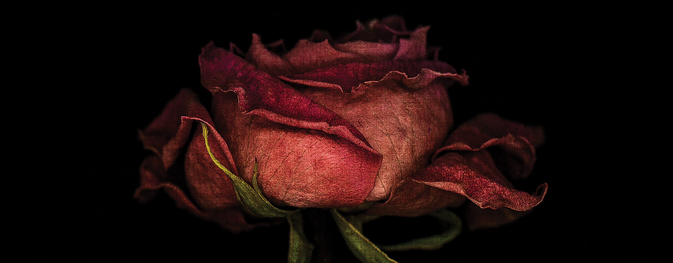 Colors Photography Contest 2022 - All About Photo Competitions