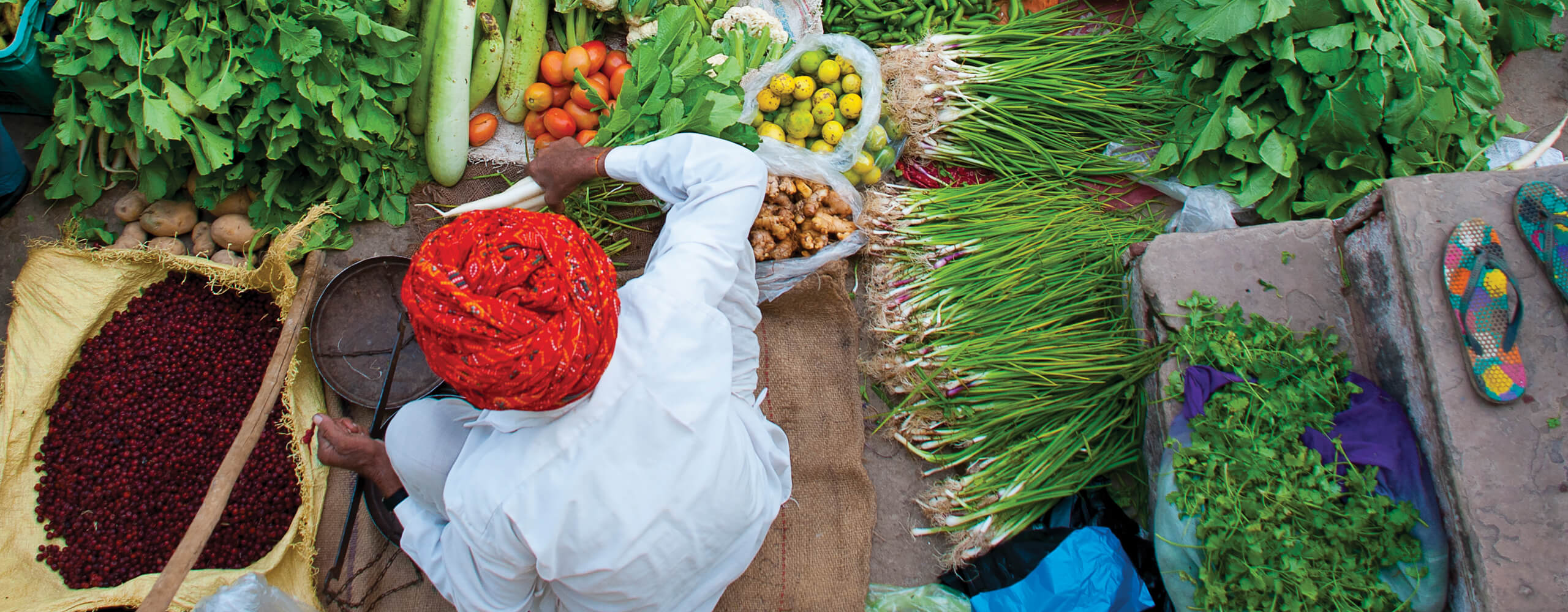 Colors Photography Contest 2022 - All About Photo Competitions