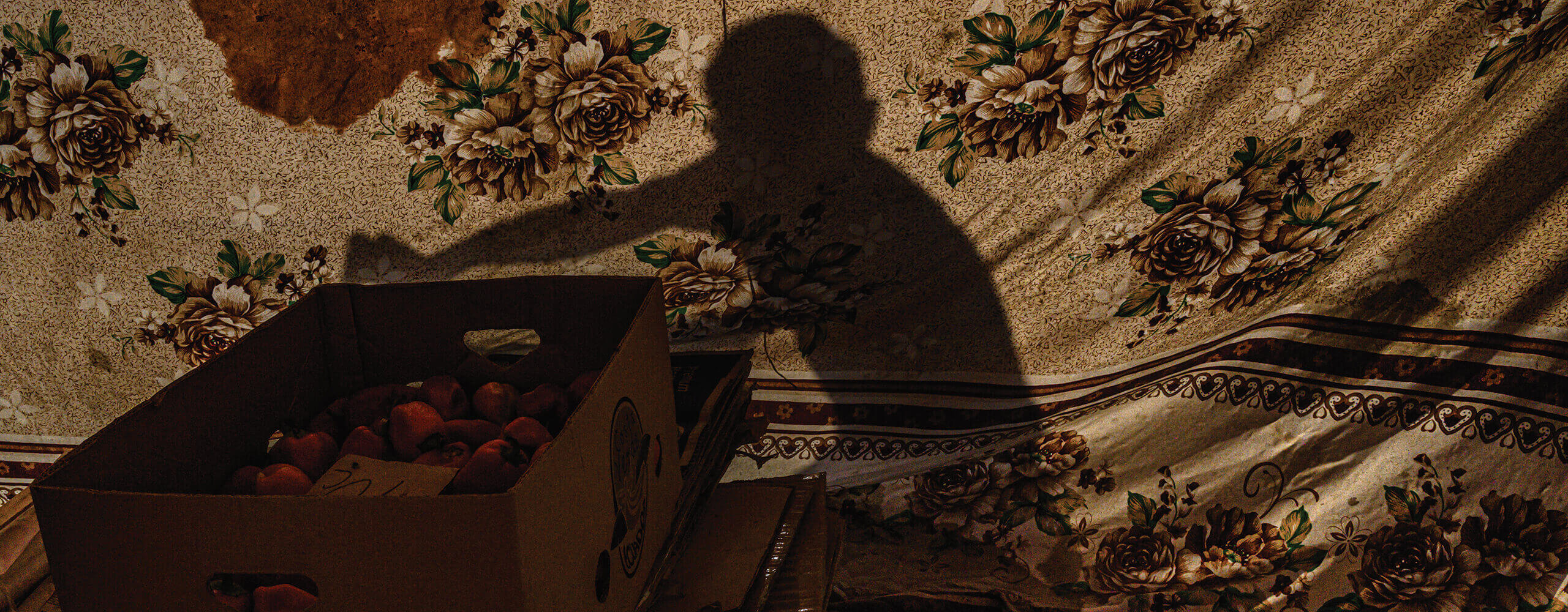 Shadows Photography Competition 2024 - All About Photo Contest