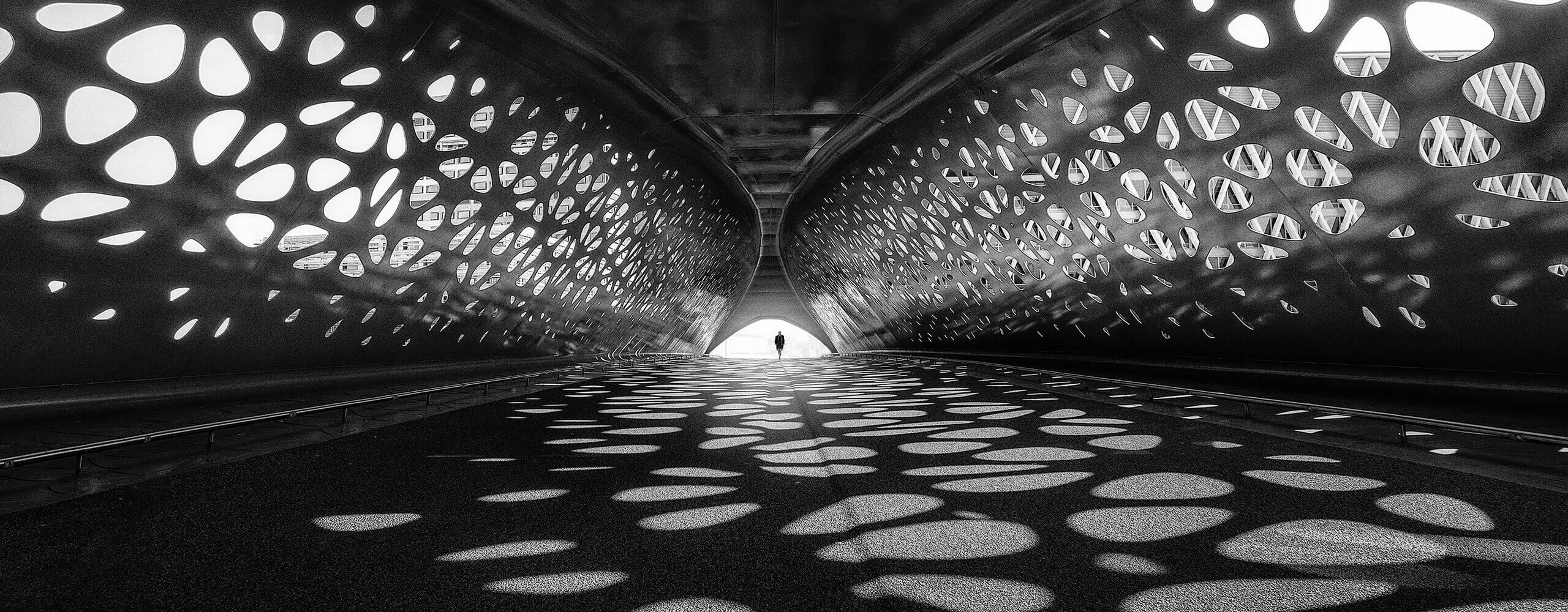 Shadows Photography Competition 2024 - All About Photo Contest