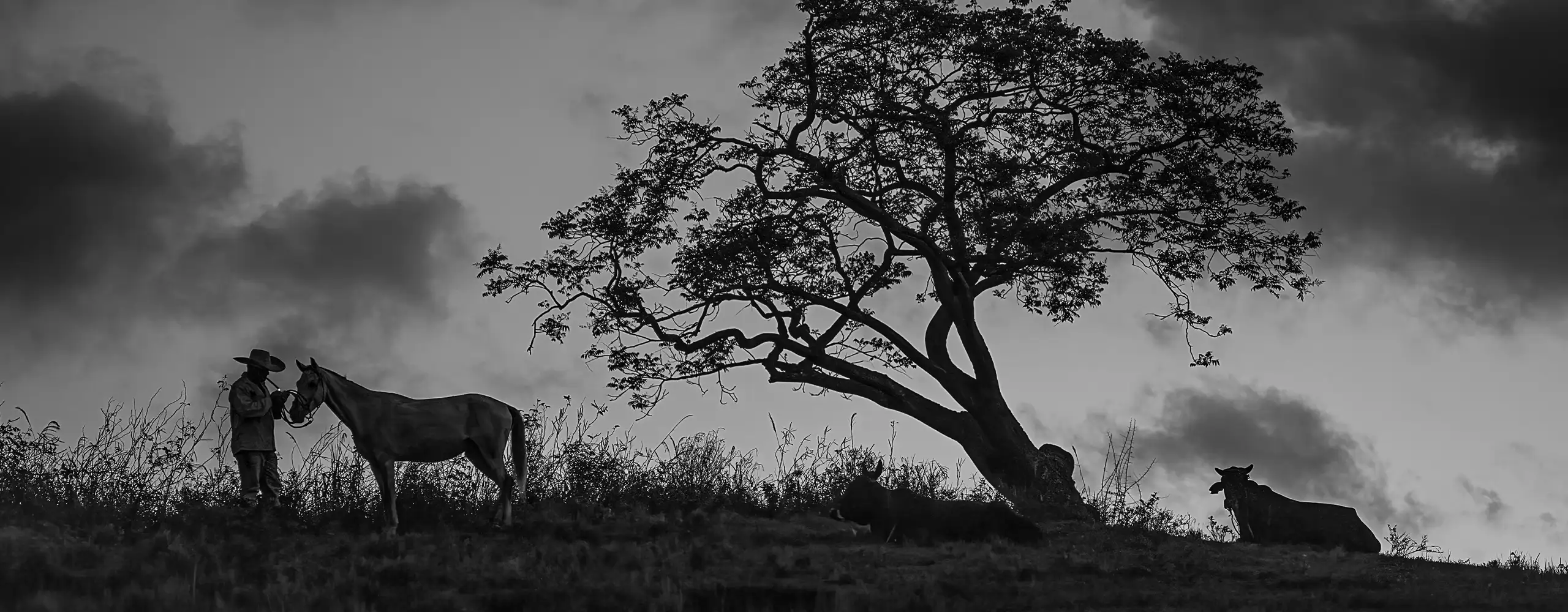 B&W Photography Competition 2024 - All About Photo Contest