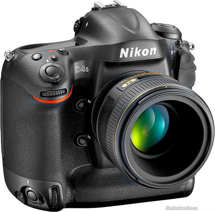 Best DSLR cameras for pros | Photo Article