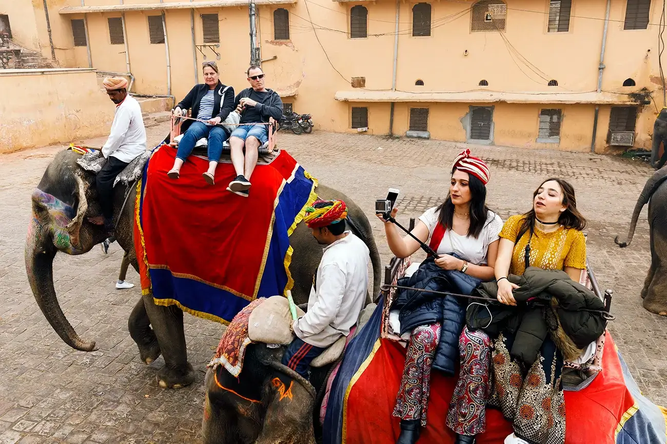 Martin Parr: Small World | Photo Article