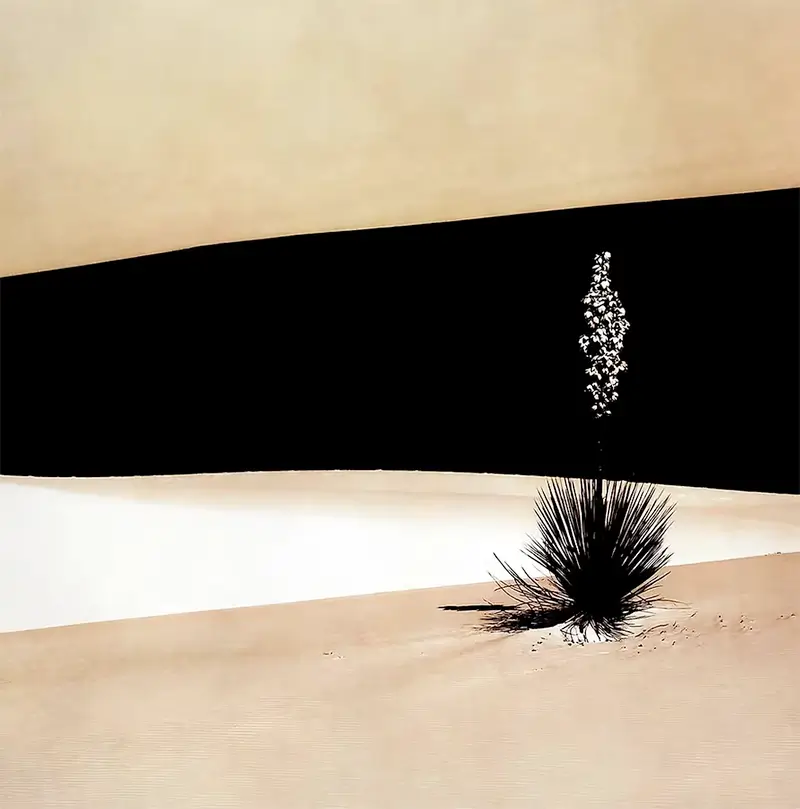 The Abstract Image | Photo Contest