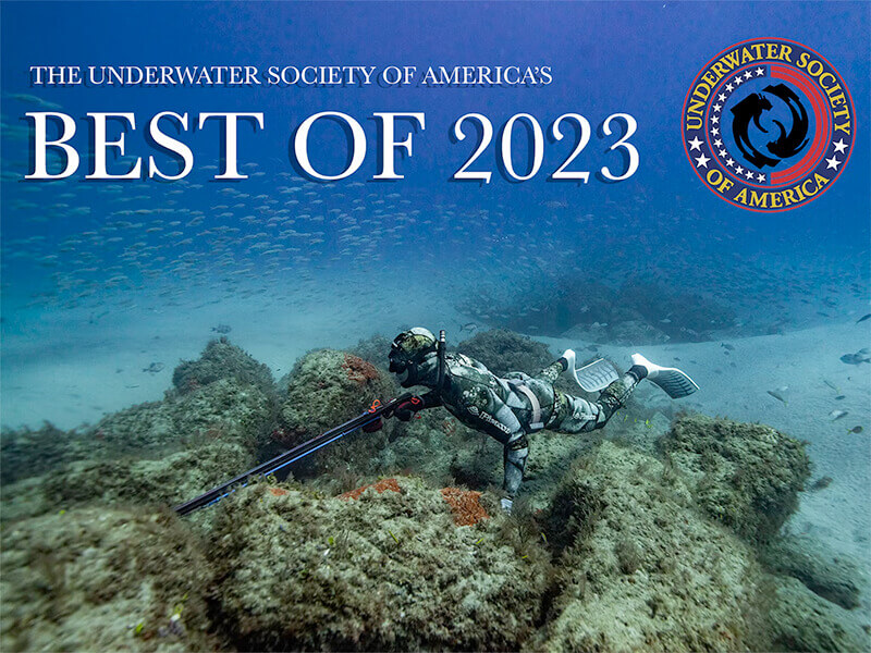 USOA Visuals Best of 2023 | Photo Contest