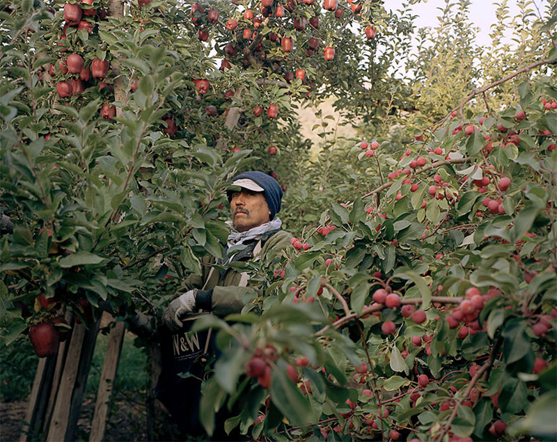 Kathya Maria Landeros and Mimi Plumb, Verdant Land | Exhibition