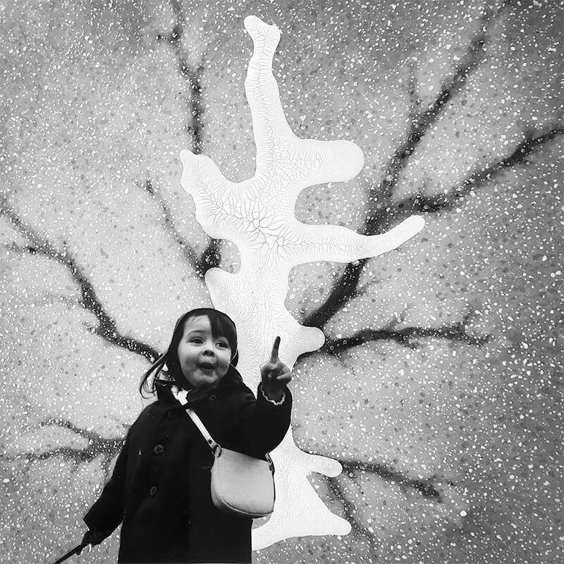 Origin Stories: Anne Piessens | Exhibition