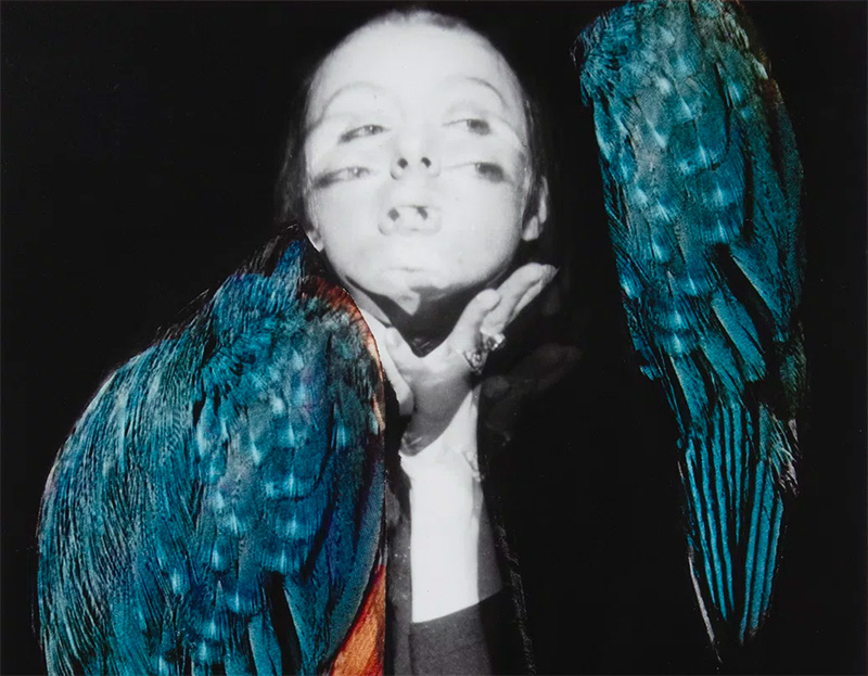 Penny Slinger: 50% Unboxed | Exhibition