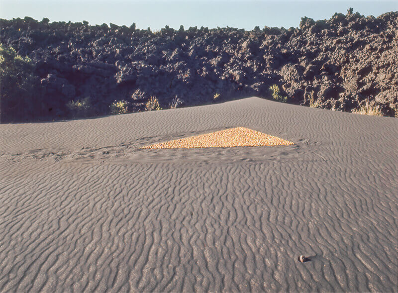 Peter Hutchinson: Landscapes of My Life | Exhibition