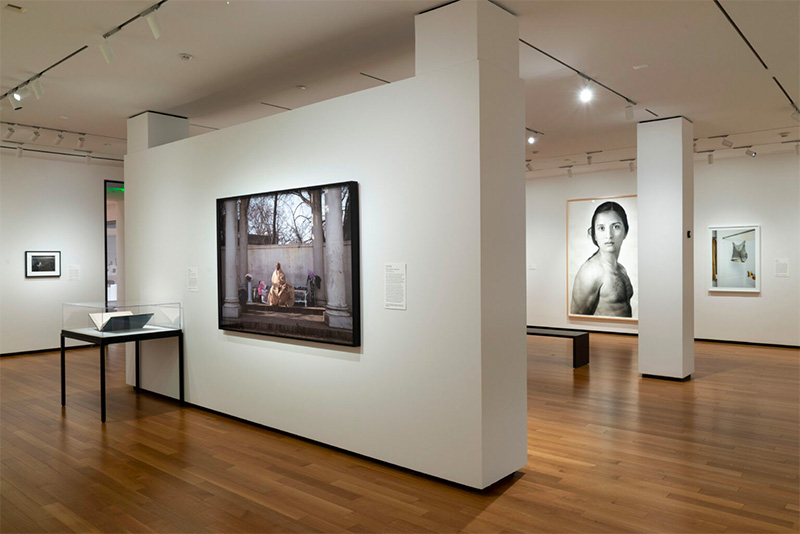 Shapeshifting: Transformations on Paper | Exhibition