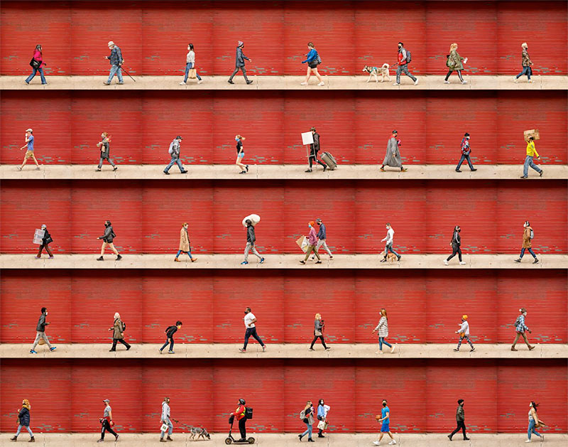 The Immediate Image | Exhibition