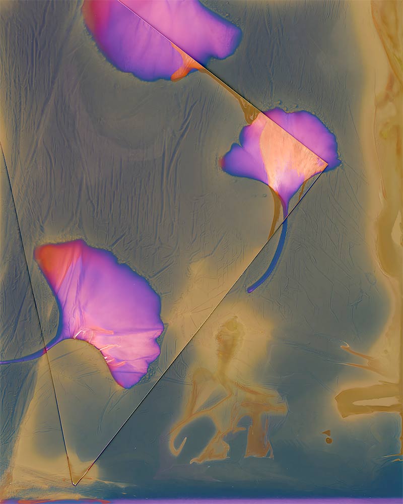 WITHOUT A LENS: Jacqueline Walters and Max Kellenberger | Exhibition