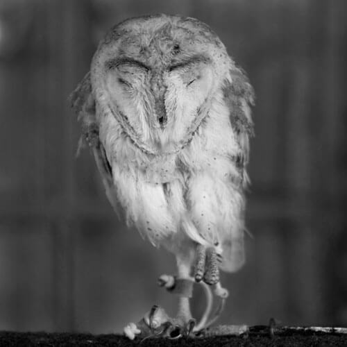 Anne Berry Photographer | All About Photo