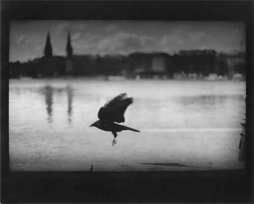 Giacomo Brunelli Photographer | All About Photo