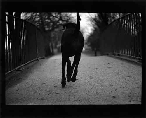 Giacomo Brunelli Photographer | All About Photo