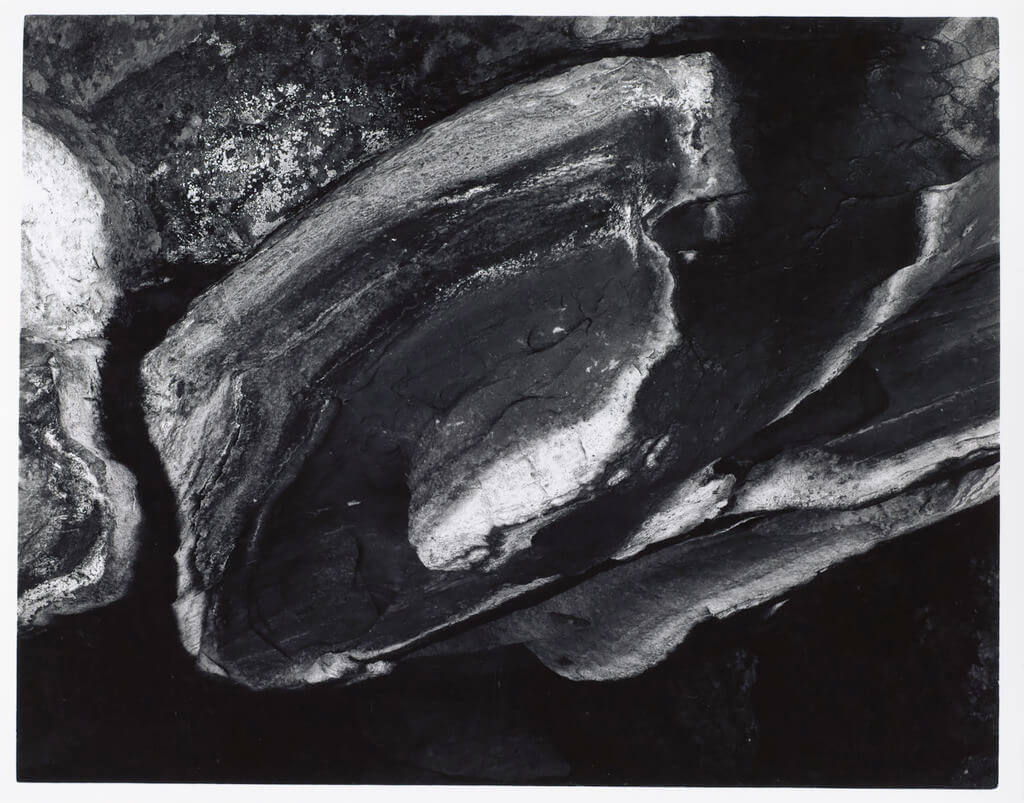 Minor White Photographer | All About Photo