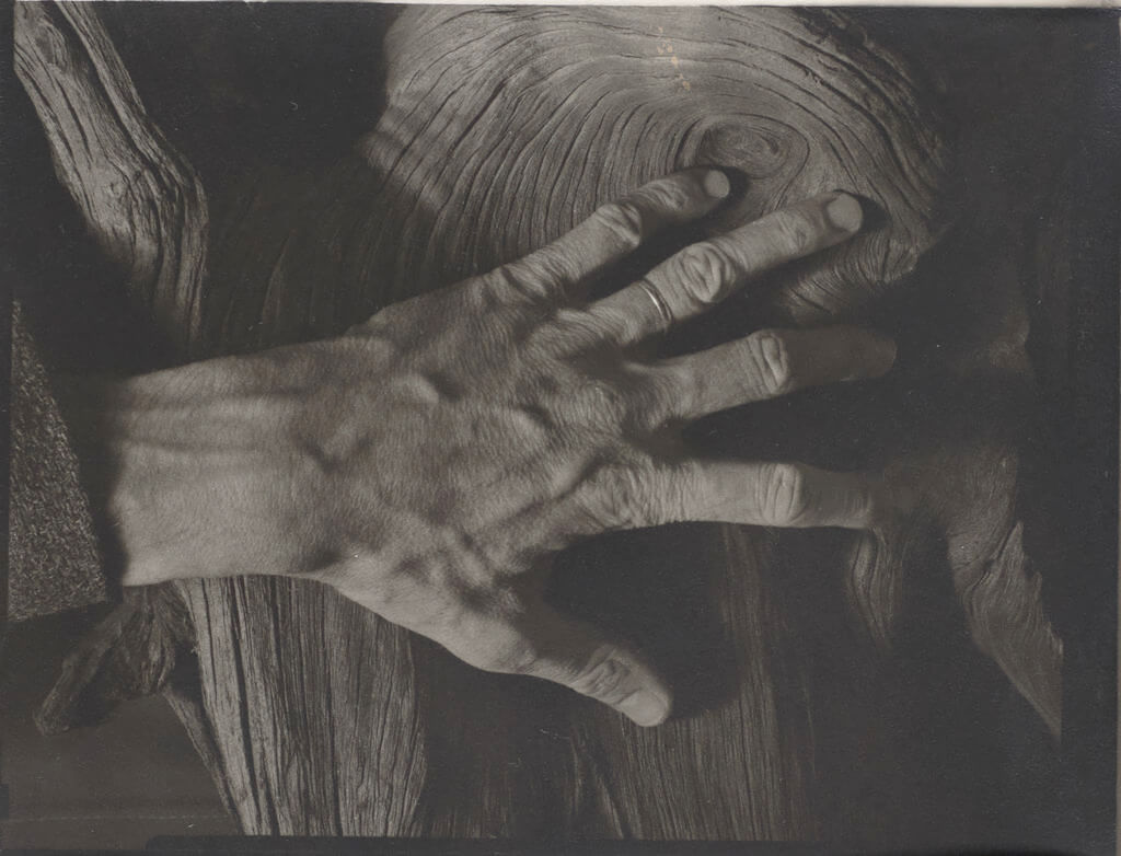 Minor White Photographer | All About Photo