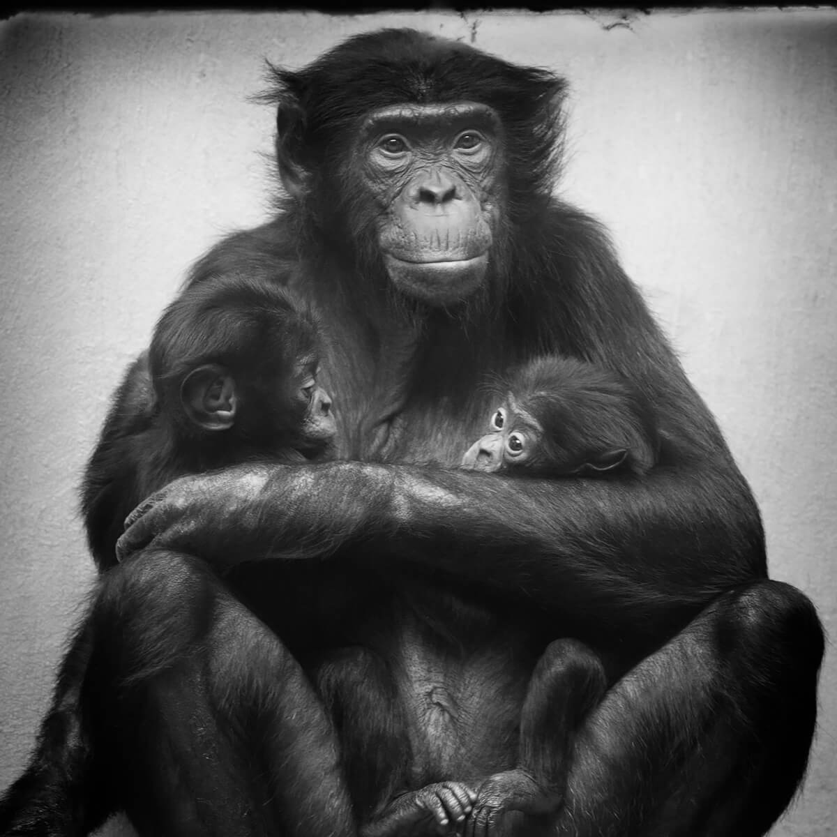 Exhibition | Anne Berry - Behind Glass