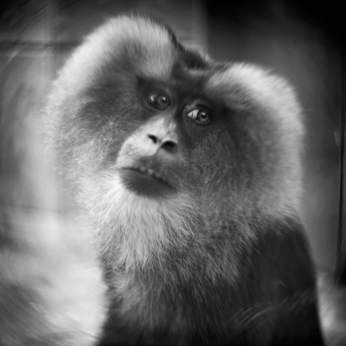 Exhibition | Anne Berry - Behind Glass