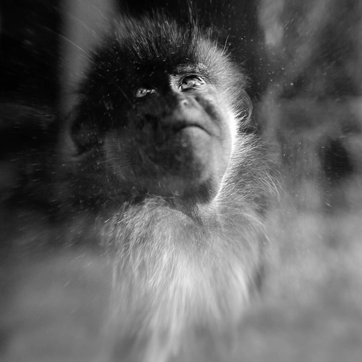 Exhibition | Anne Berry - Behind Glass