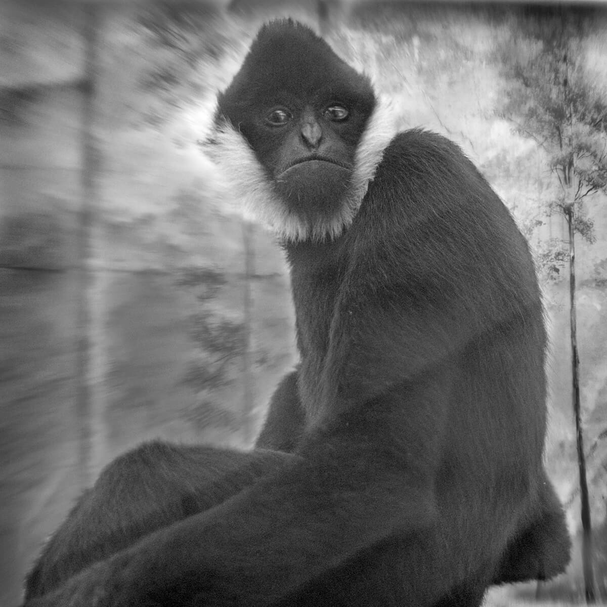 Exhibition | Anne Berry - Behind Glass